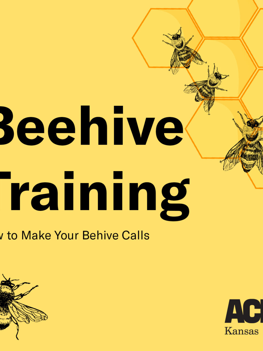 How To Make Your Beehive Calls Training - ACLU of Kansas